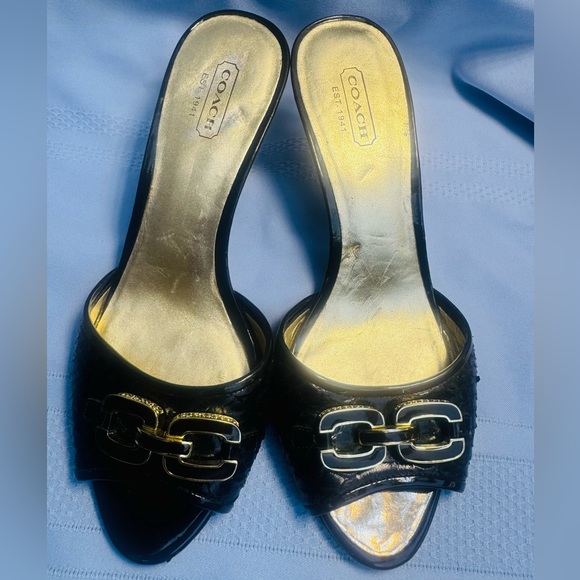 Coach | Shoes | Coach Hazel Kitten Heels Womens Size 75 B | Poshmark